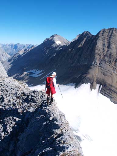 Mount Northover | Steven's Peak-bagging Journey