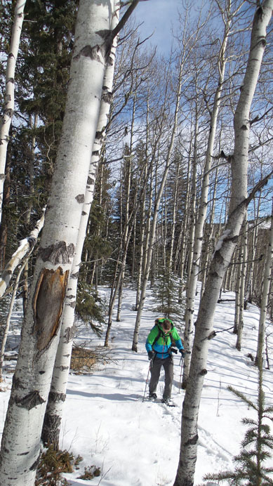 Mount McNab | Steven's Peak-bagging Journey