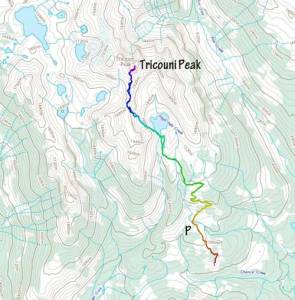 Tricouni Peak | Steven's Peak-bagging Journey