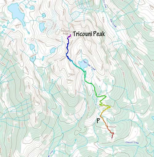 Tricouni Peak | Steven's Peak-bagging Journey