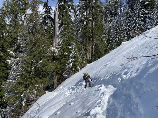 Mount Index (Hourglass Gully) | Steven's Peak-bagging Journey