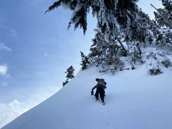 Mount Index (Hourglass Gully) | Steven's Peak-bagging Journey