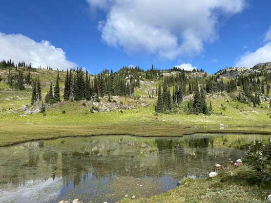 Morton Peak (Mara Mountain Lookout) | Steven's Peak-bagging Journey