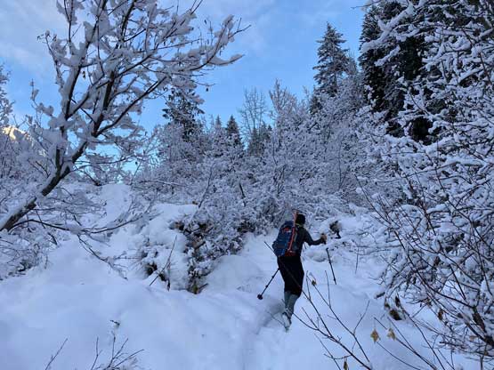 Mount Dewdney | Steven's Peak-bagging Journey
