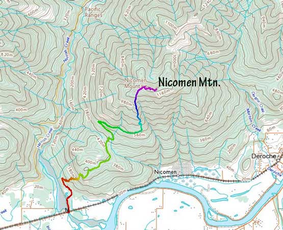 Nicomen Mountain | Steven's Peak-bagging Journey