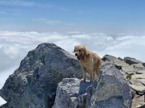 Mount Pugh | Steven's Peak-bagging Journey