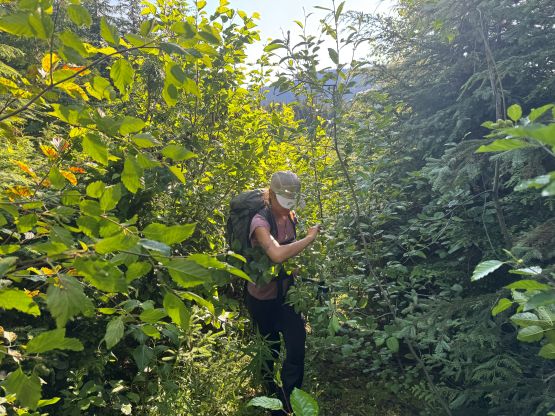 Mount Odin [BC] | Steven's Peak-bagging Journey