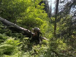 Mount Odin [BC] | Steven's Peak-bagging Journey