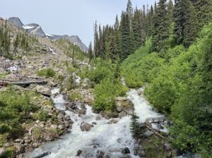 Mount Odin [BC] | Steven's Peak-bagging Journey
